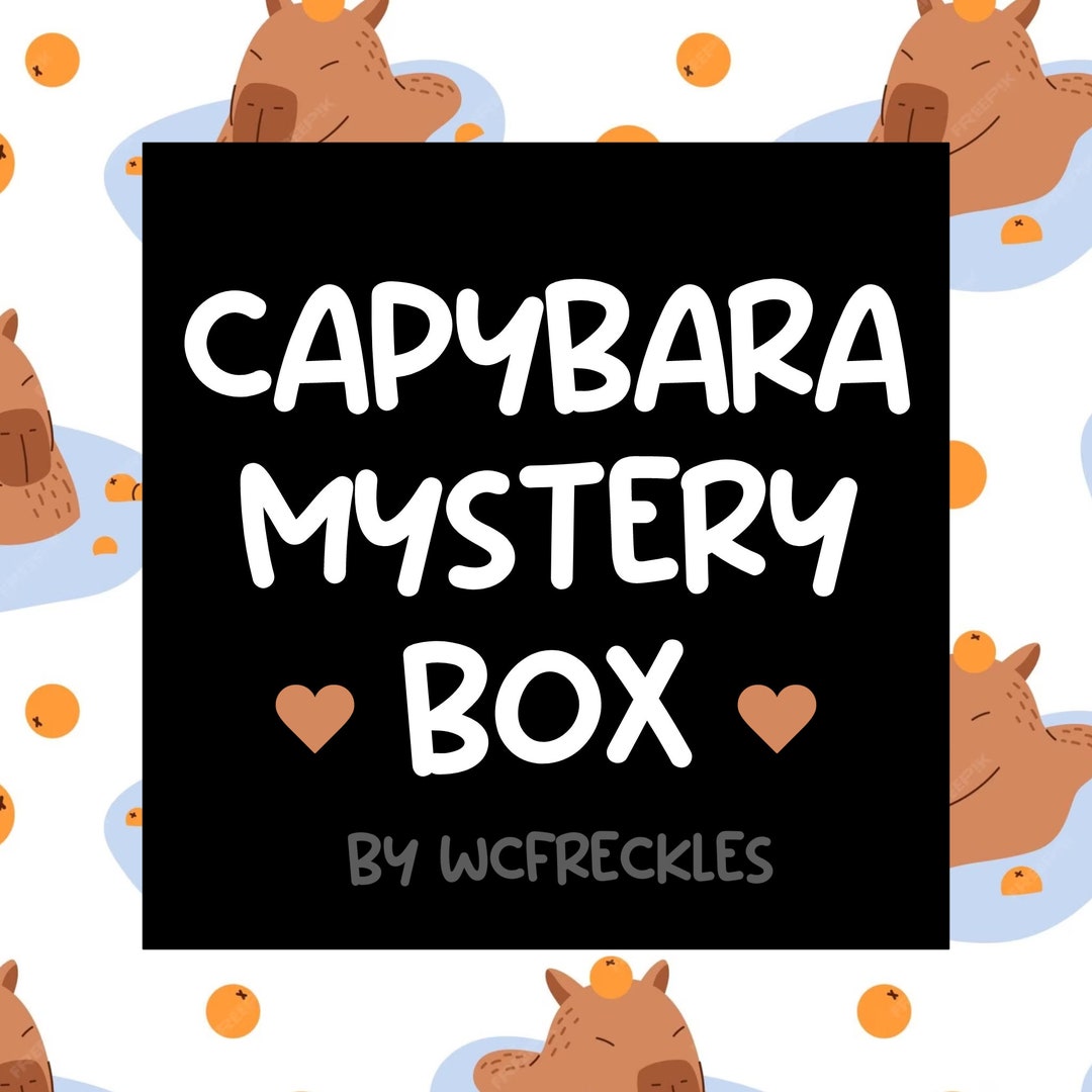 CAPYBARA Mystery Box Capybara Themed Mystery Package Gift - Etsy