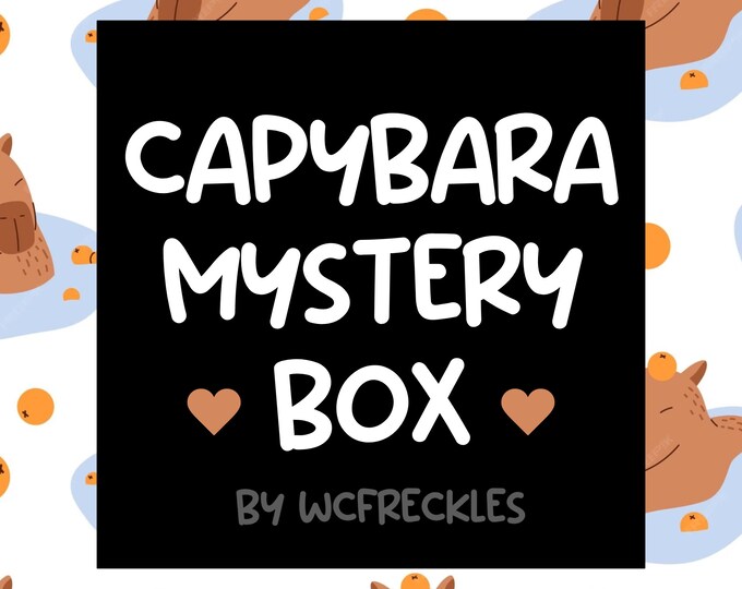 CAPYBARA Mystery Box || Capybara Themed Mystery Package Gift - Etsy