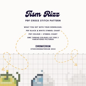 Tism Rizz Cross Stitch Pattern - 4 Colour Variations - PDF Instant ...