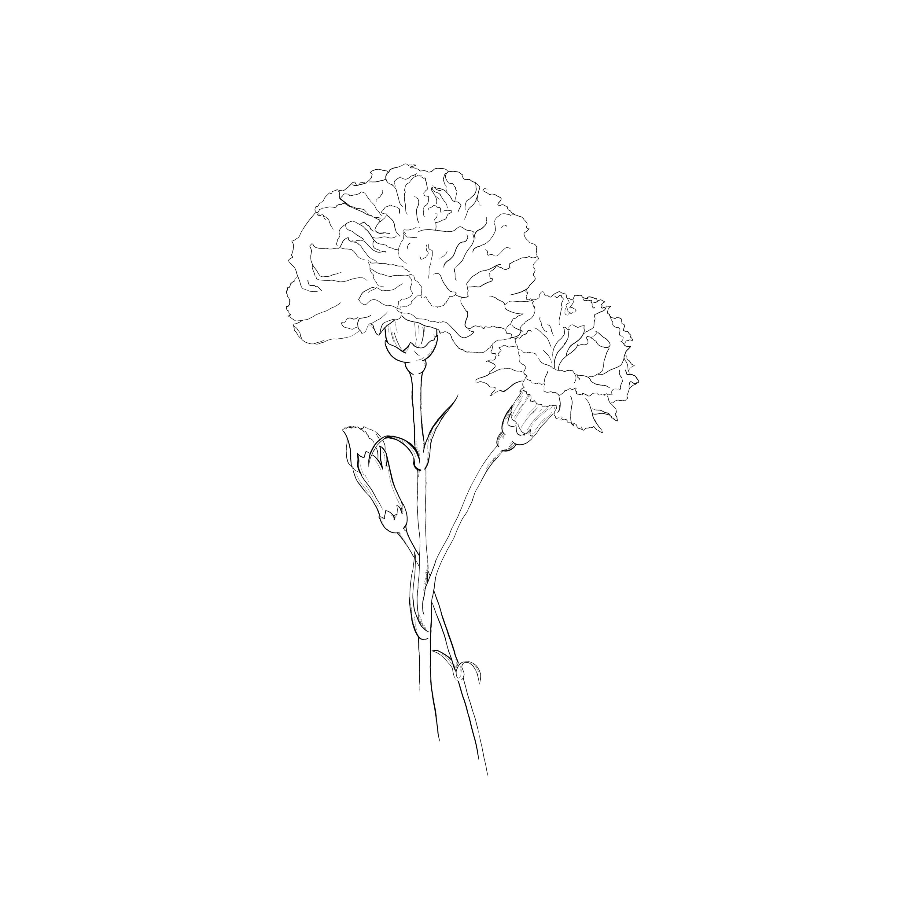 January Birth Flower Wall Art - Etsy