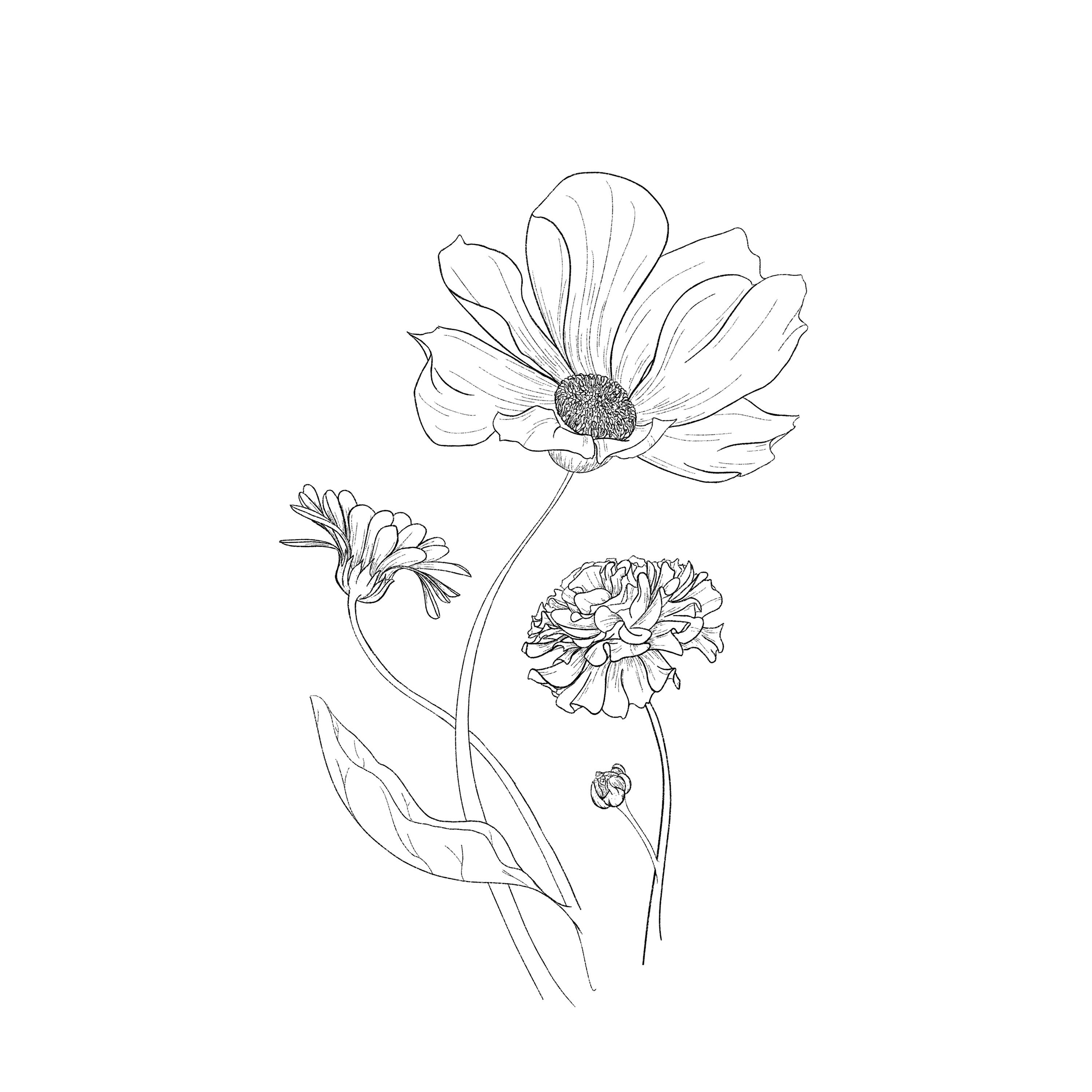 October Birth Flower Wall Art - Etsy