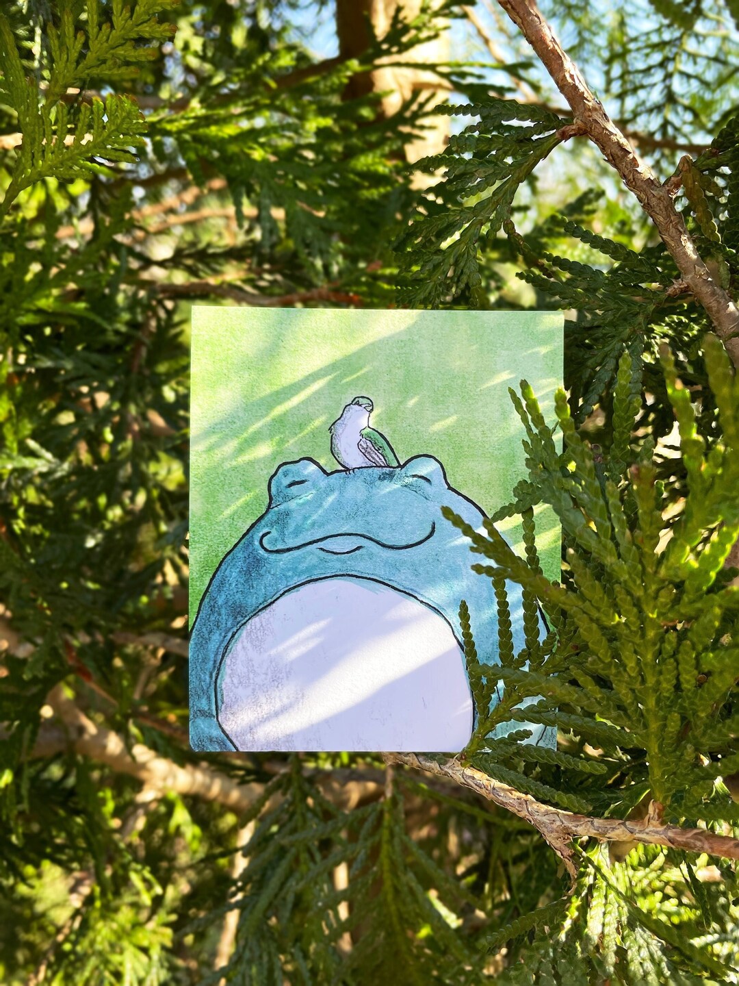 Garden Frog and Hummingbird Friends: Mini Art Print - Etsy