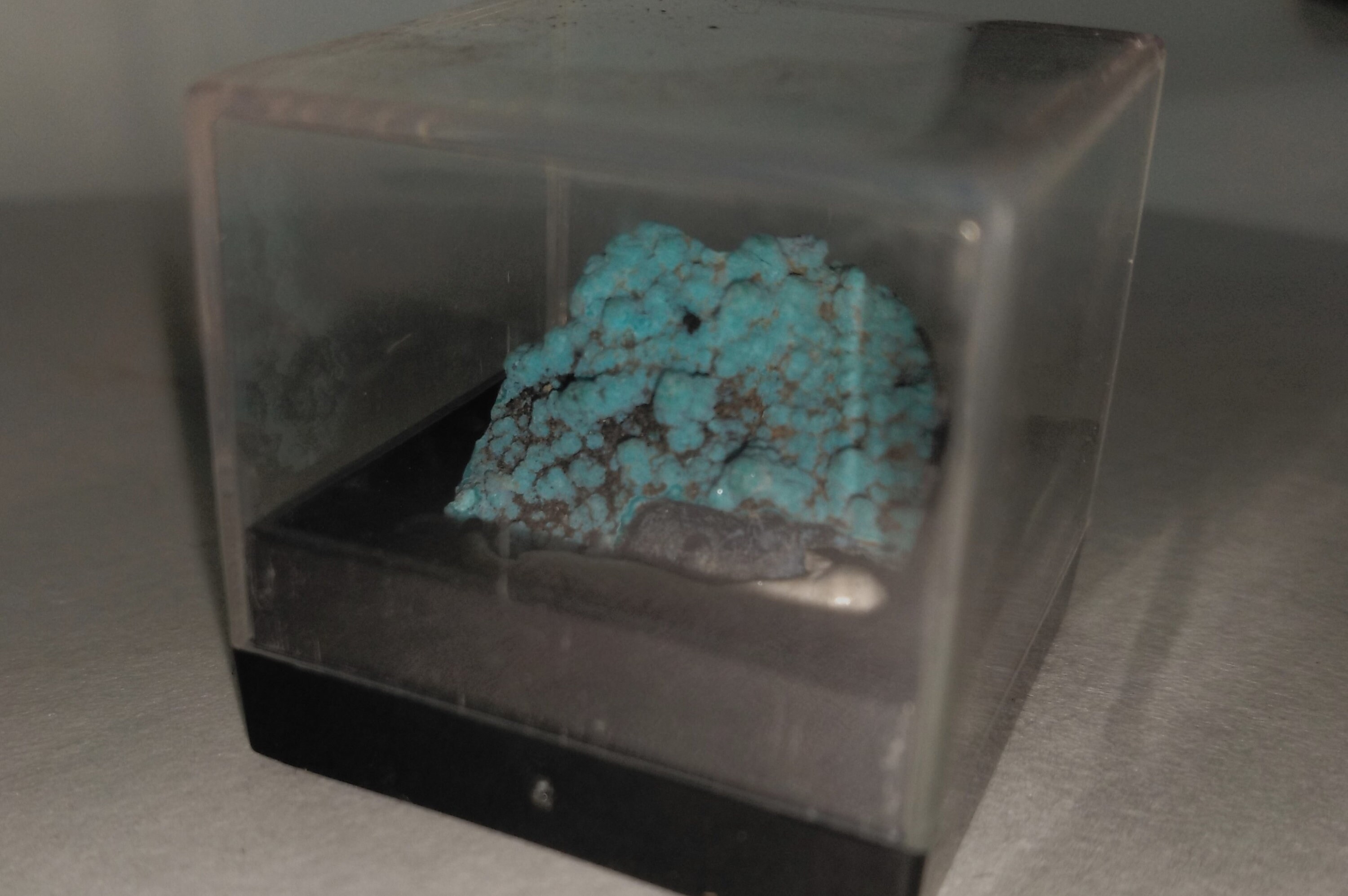 Botryoidal Azurite Chrysocolla Specimen on Tenorite Matrix From Planet ...