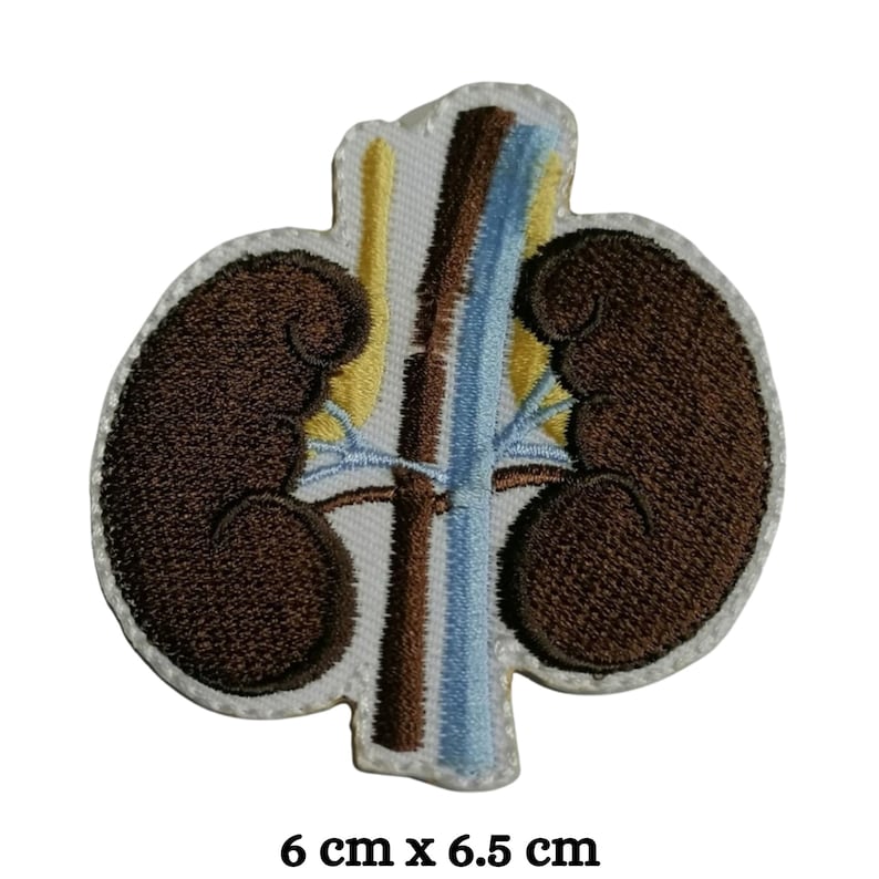 Human Organs Embroidery Patches Iron on / Sew on Jackets Jeans Hospital ...