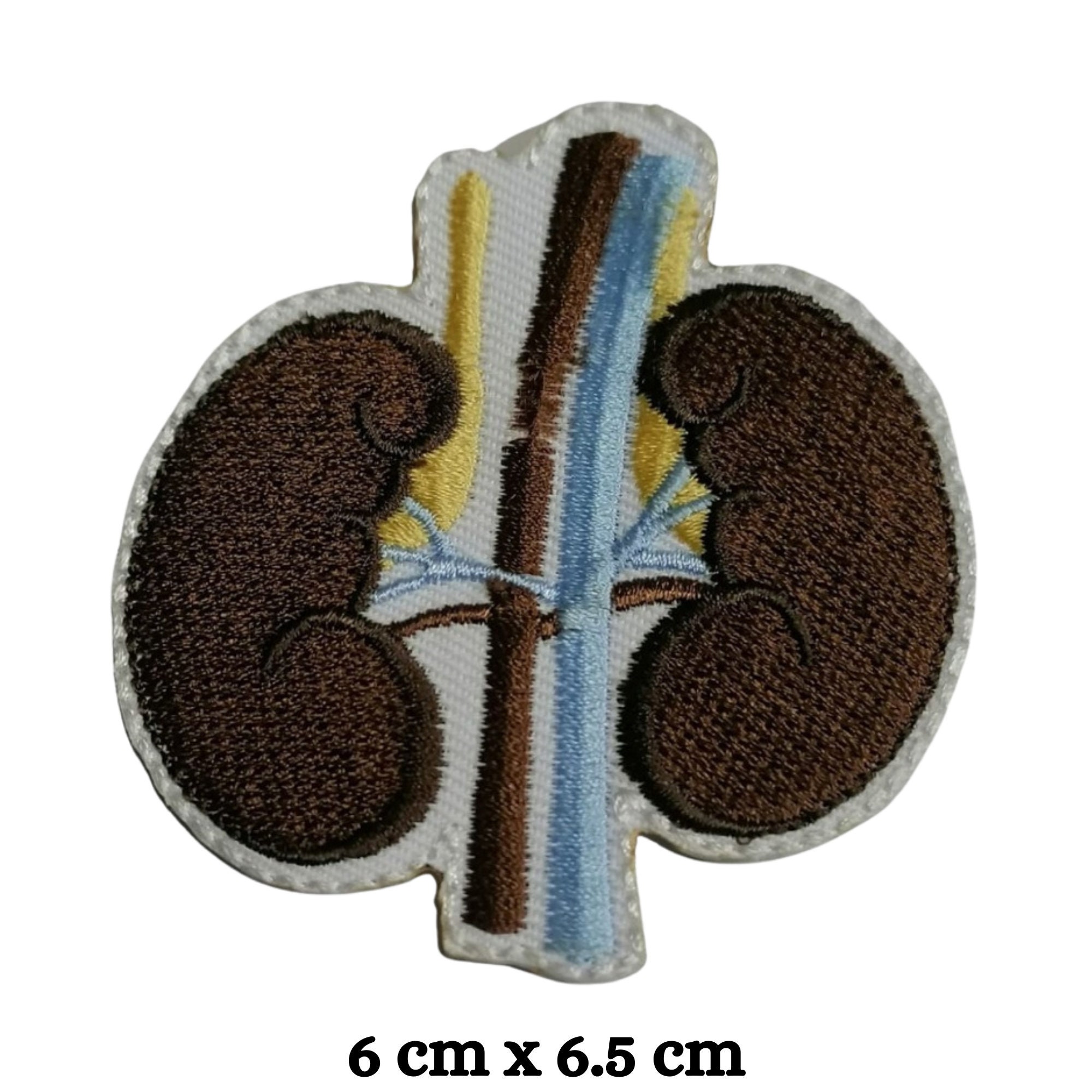 Human Organs Embroidery Patches Iron on / Sew on Jackets Jeans Hospital ...