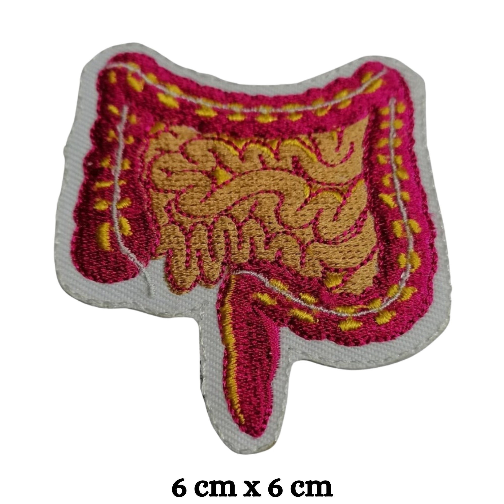 Human Organs Embroidery Patches Iron on / Sew on Jackets Jeans Hospital ...