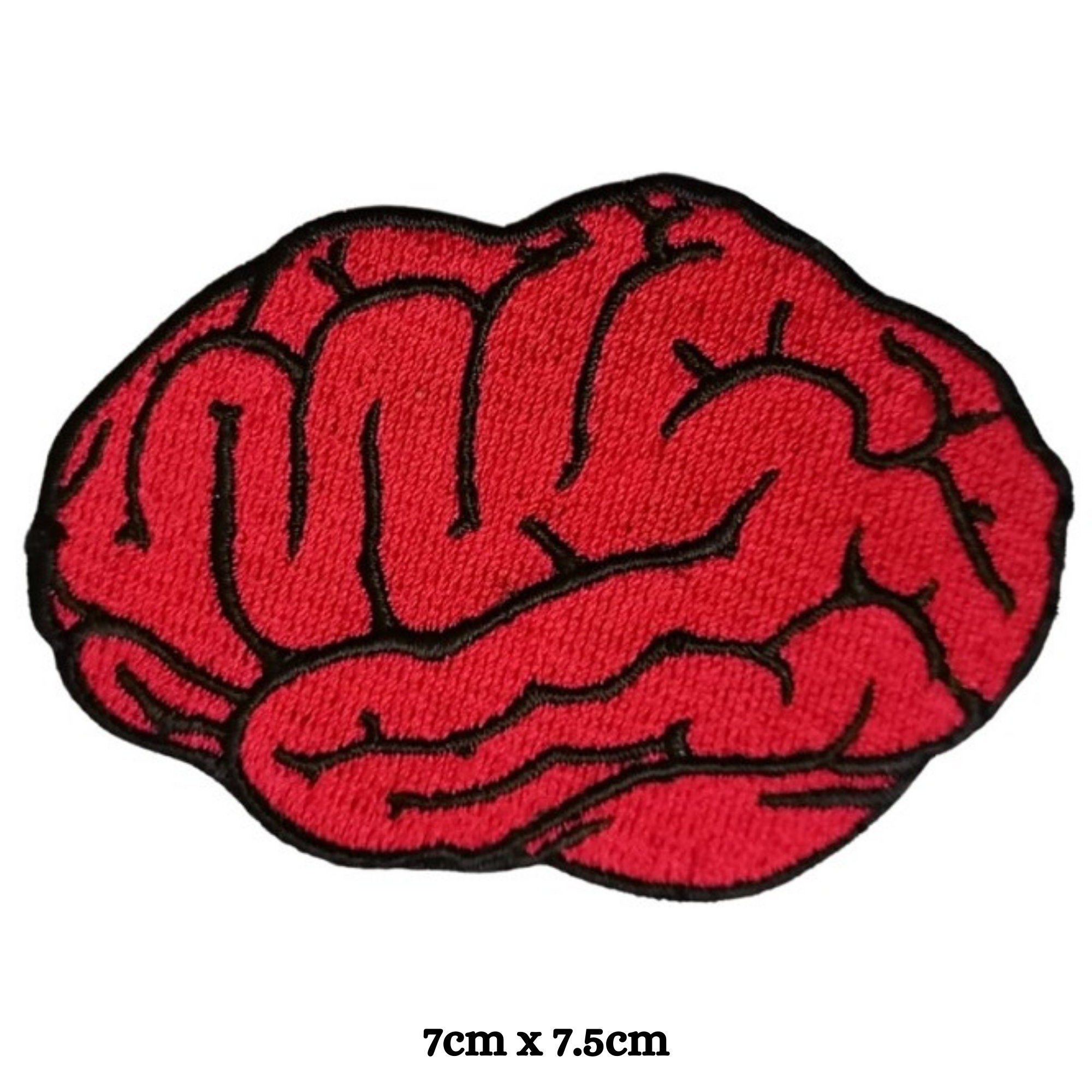 Human Organs Embroidery Patches Iron on / Sew on Jackets Jeans Hospital ...