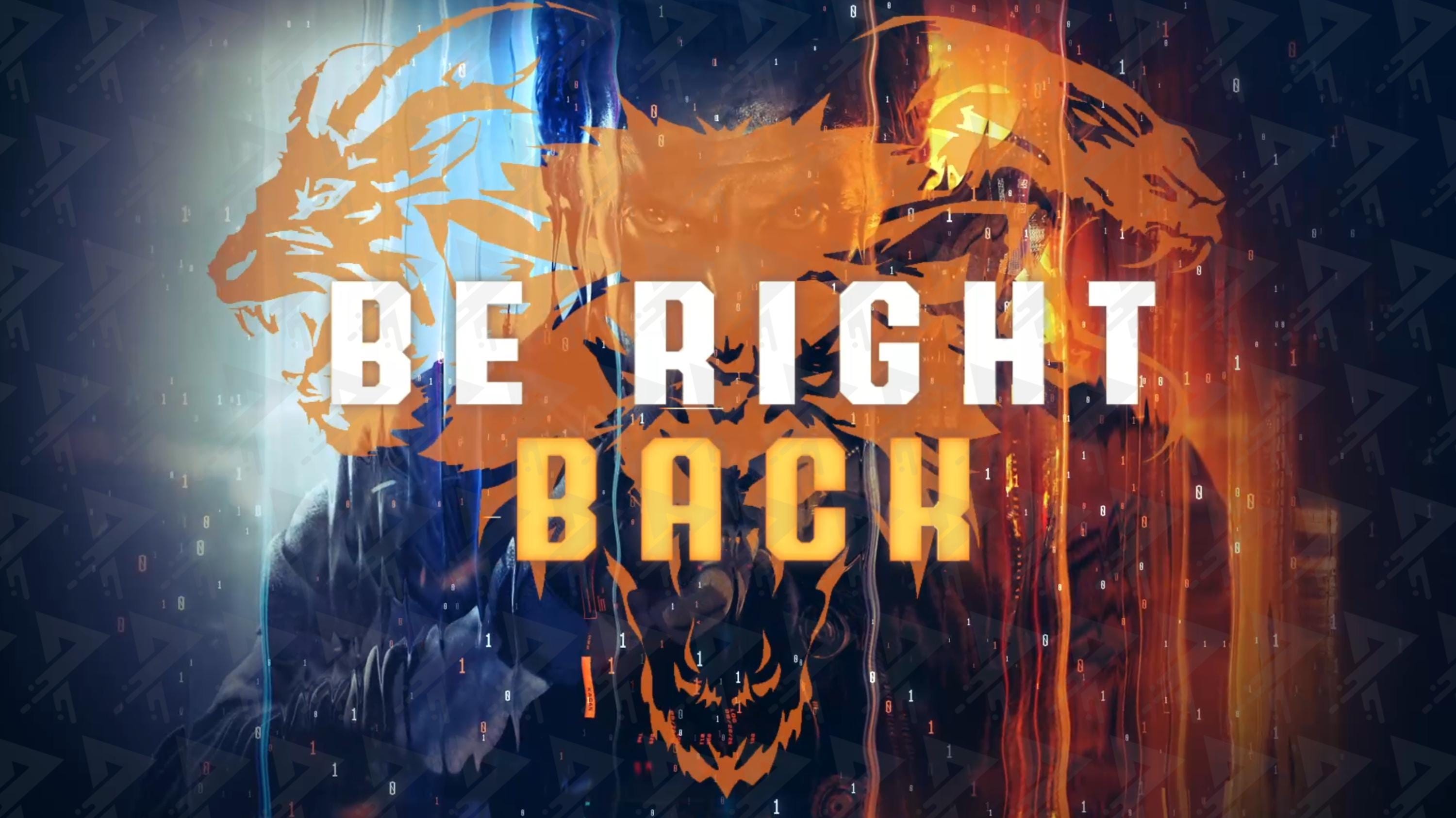 Black Ops 7 Animated Stream Overlays | Starting Soon, BRB, Ending ...