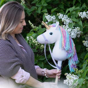 Unicorn Head Toy on Stick, Hobby Horse for Children Ride, Plush Pony ...