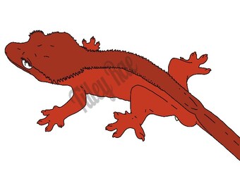 Crested Gecko Svg - Etsy