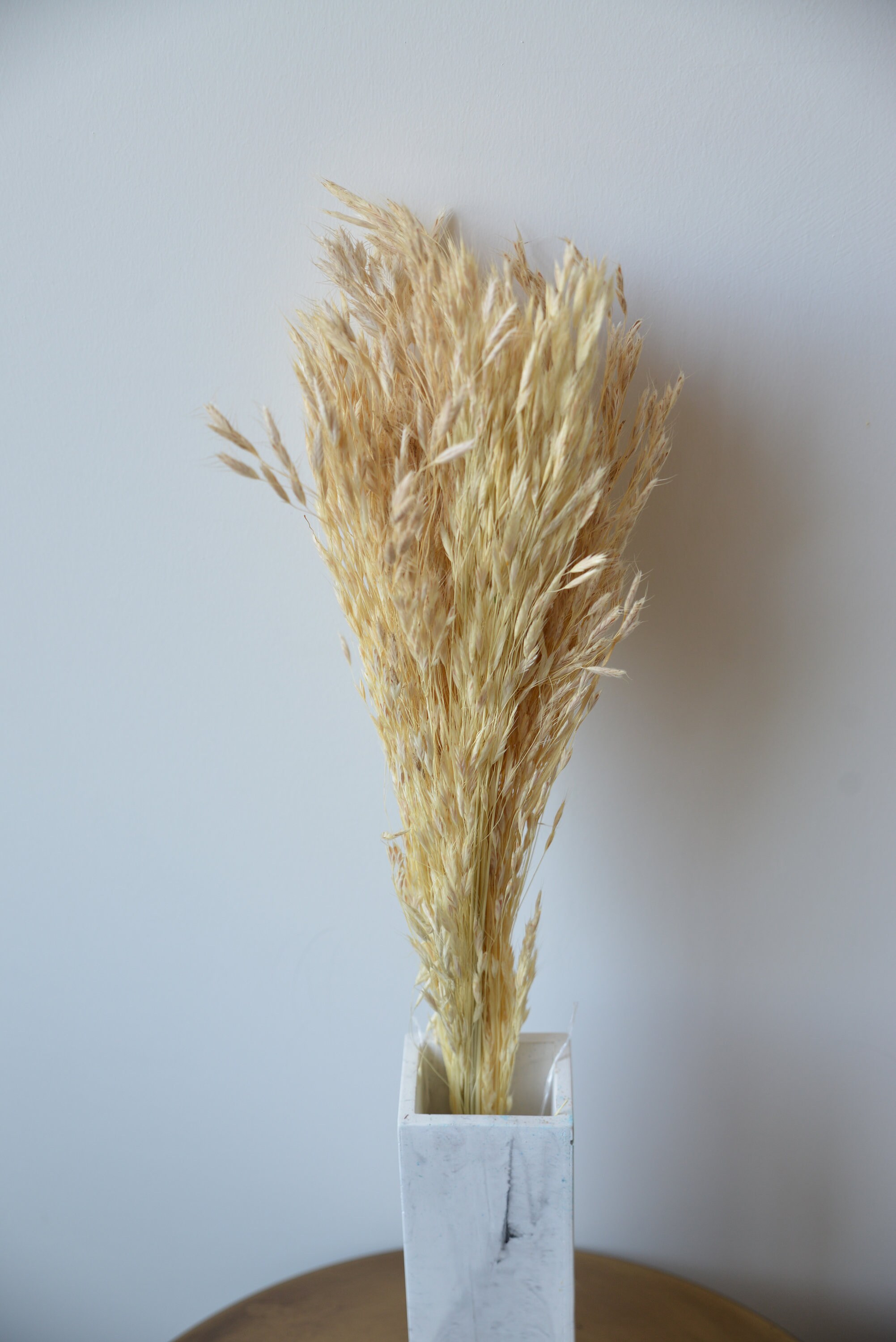 Bulk Dried Plume Reed 5 Bunches Ivory Plume Dried Oat | Etsy