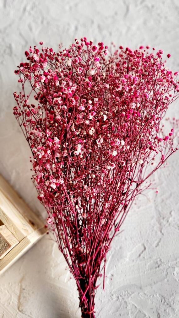 Red Dried Baby Breath Flowers 12Pcs Dried Baby Breath Flowers – My