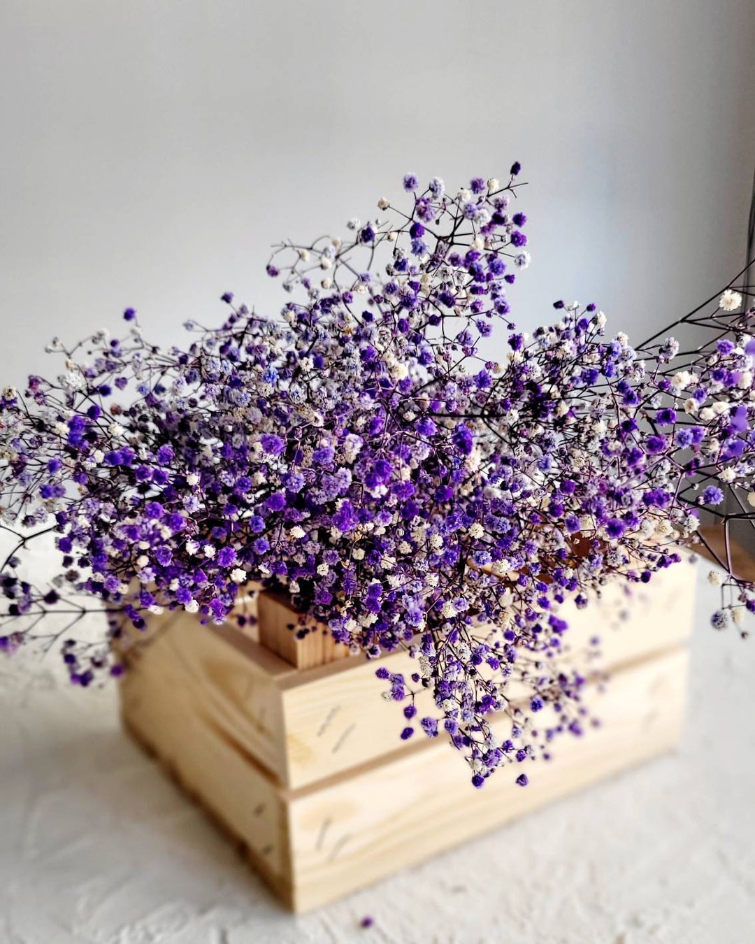 Baby's Breath, Gypsophila Preserved Purple Color, Dried Flowers, Dried ...