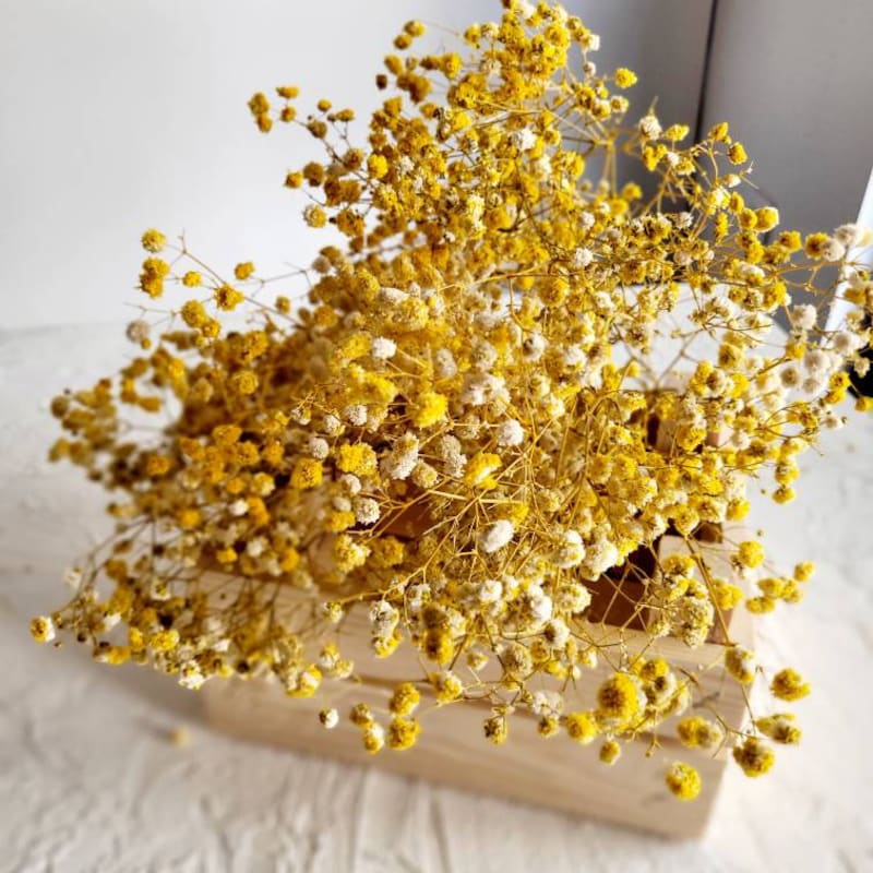 Yellow Dried Flowers - Etsy
