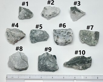 Tree Agate Crystal / Tumbled Tree Agate / Tree Agate Stone / Polished ...