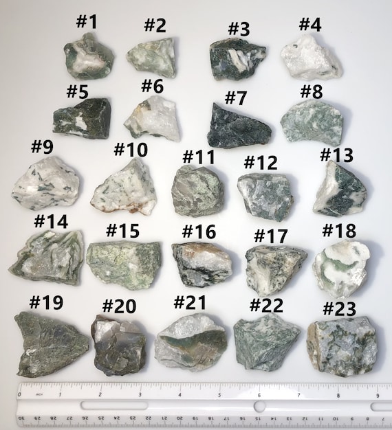 Tree Agate raw - Etsy