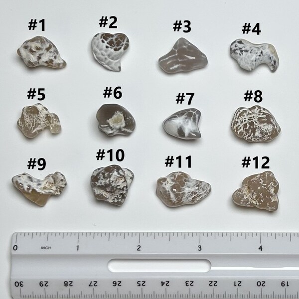 Snakeskin Agate - 60+ Snakeskin Agate for 2023