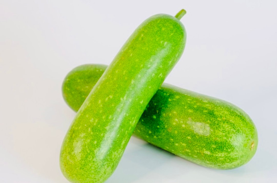 Organic Winter Melon Seeds, Non GMO Wax Gourd Seeds, Winter Melon Seeds ...