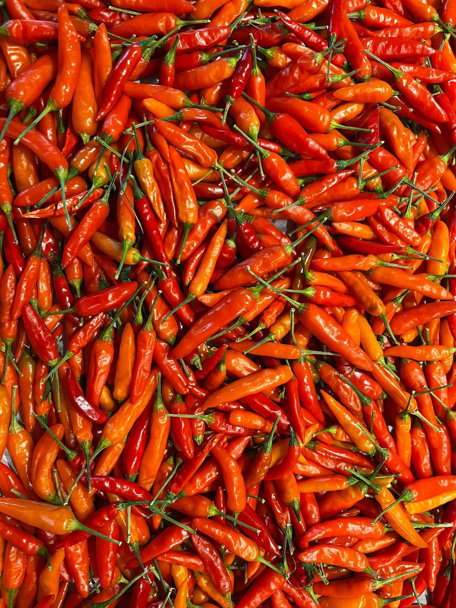 Organic Dried Cayenne Pepper, Chili Pepper Flakes, Dried Chili , Non ...