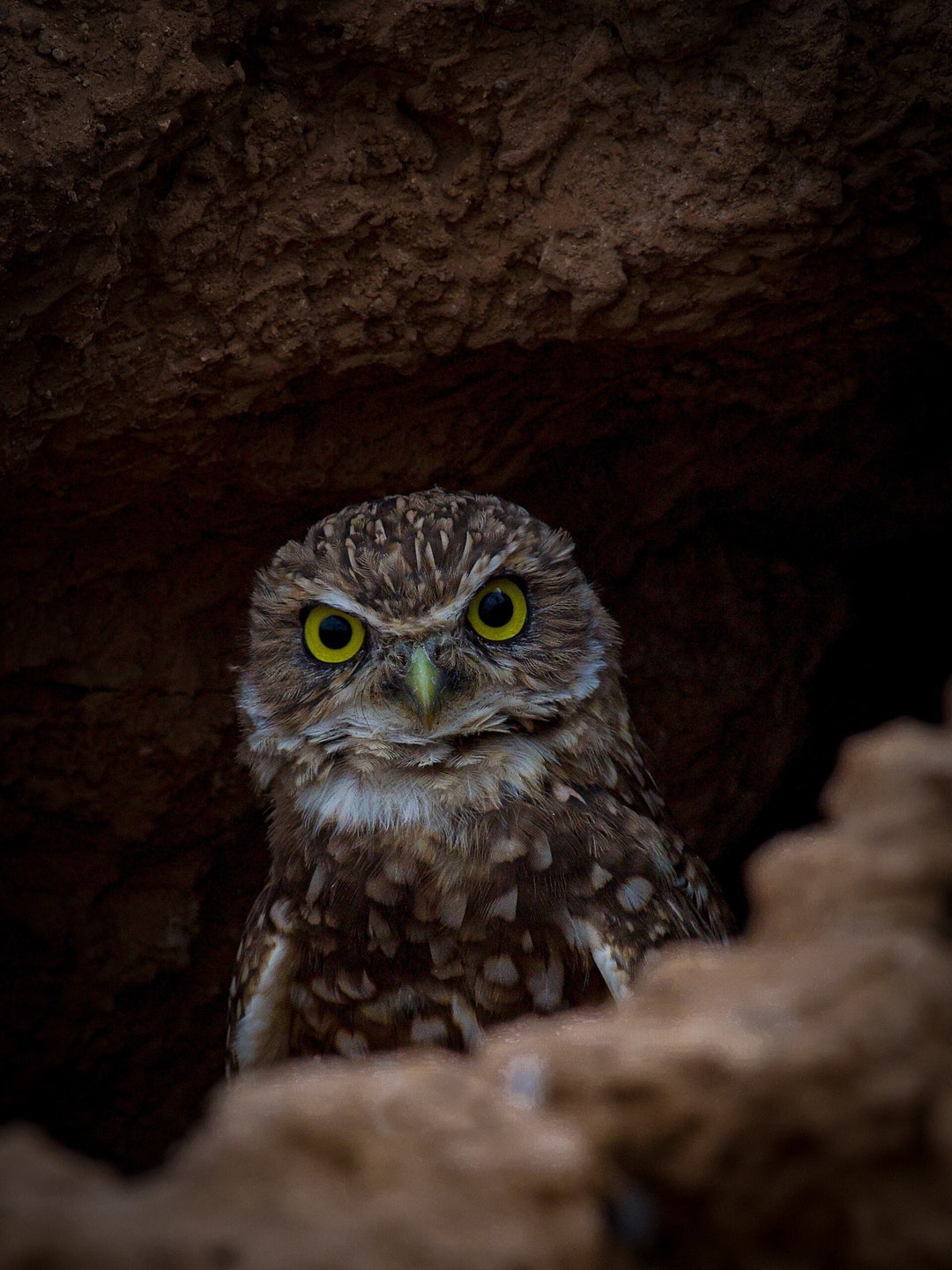 Why Must You Disturb Me?! - Etsy