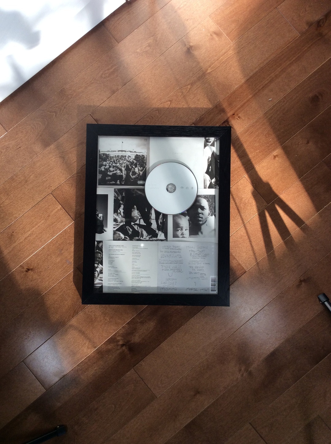 Kendrick Lamar - to Pimp A Butterfly (TPAB) Framed Album Plaque/collage ...