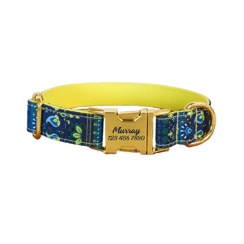 Personalized Dog Collar, Engraved Buckle, Custom ID - Etsy UK