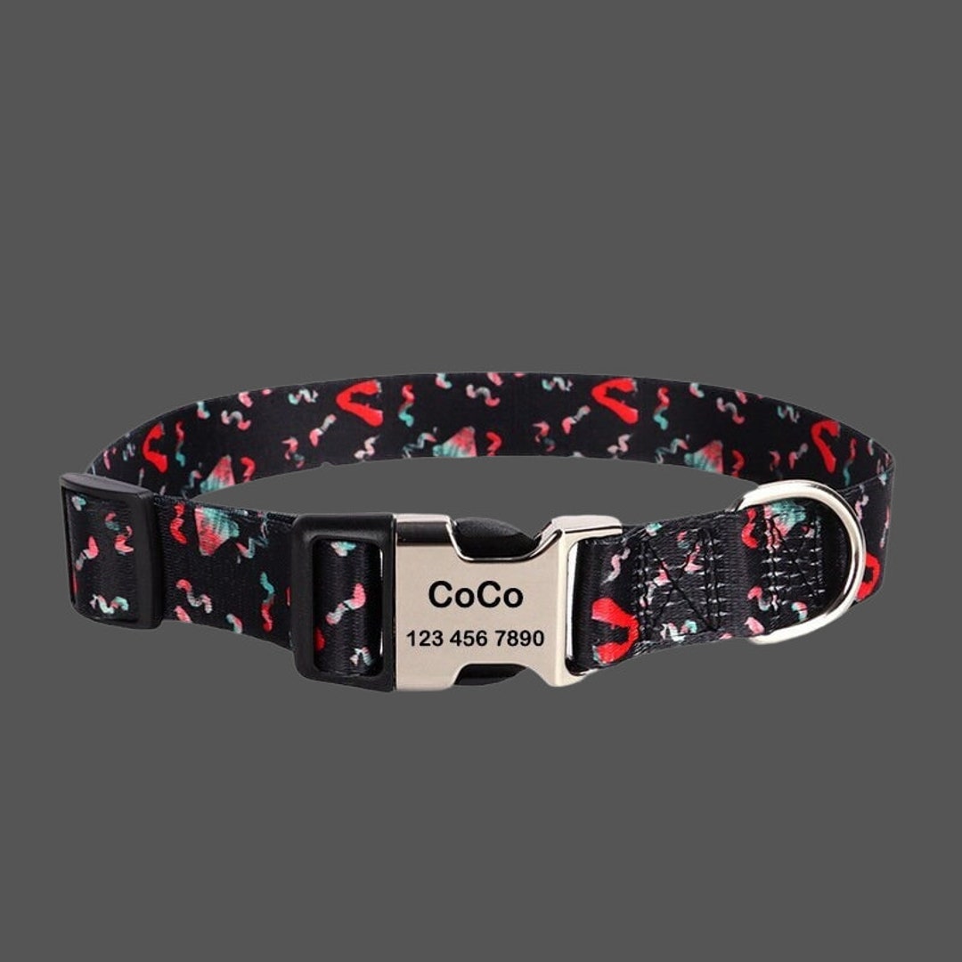 Personalized Dog Collar With Engraved ID Name and Phone Number ...