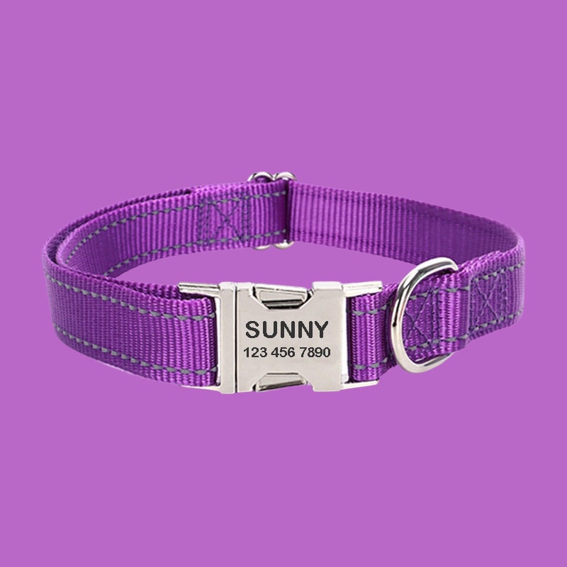 Purple Dog Collar - Etsy