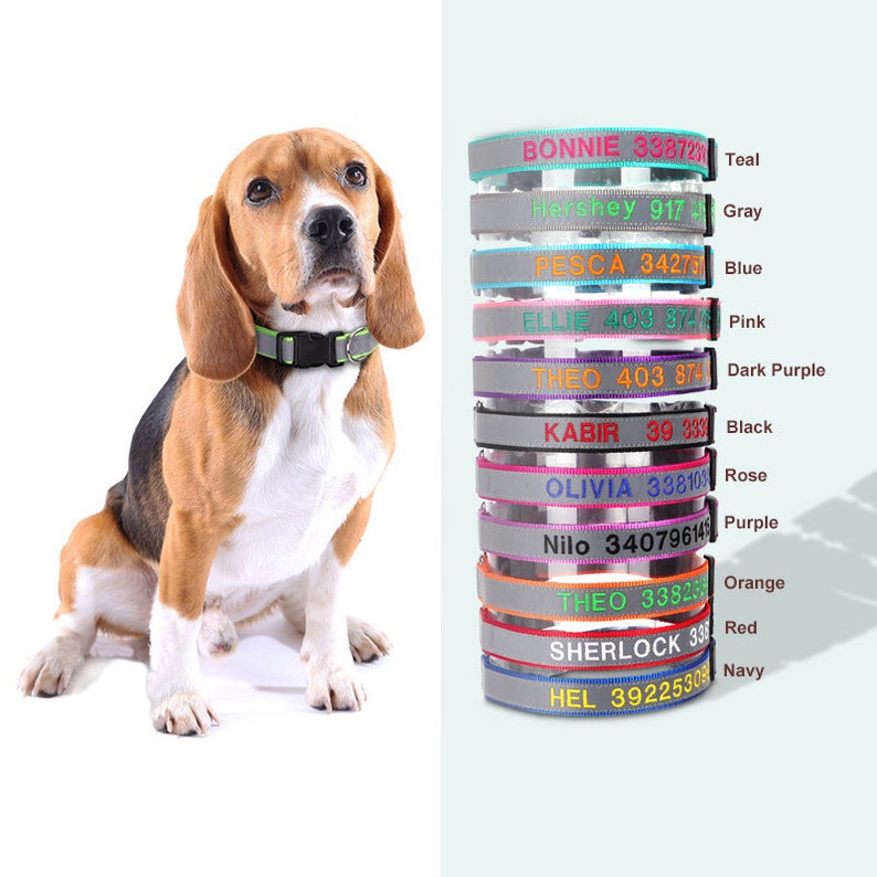 Reflective Personalized Dog Collar Custom Dog ID Collar - Etsy