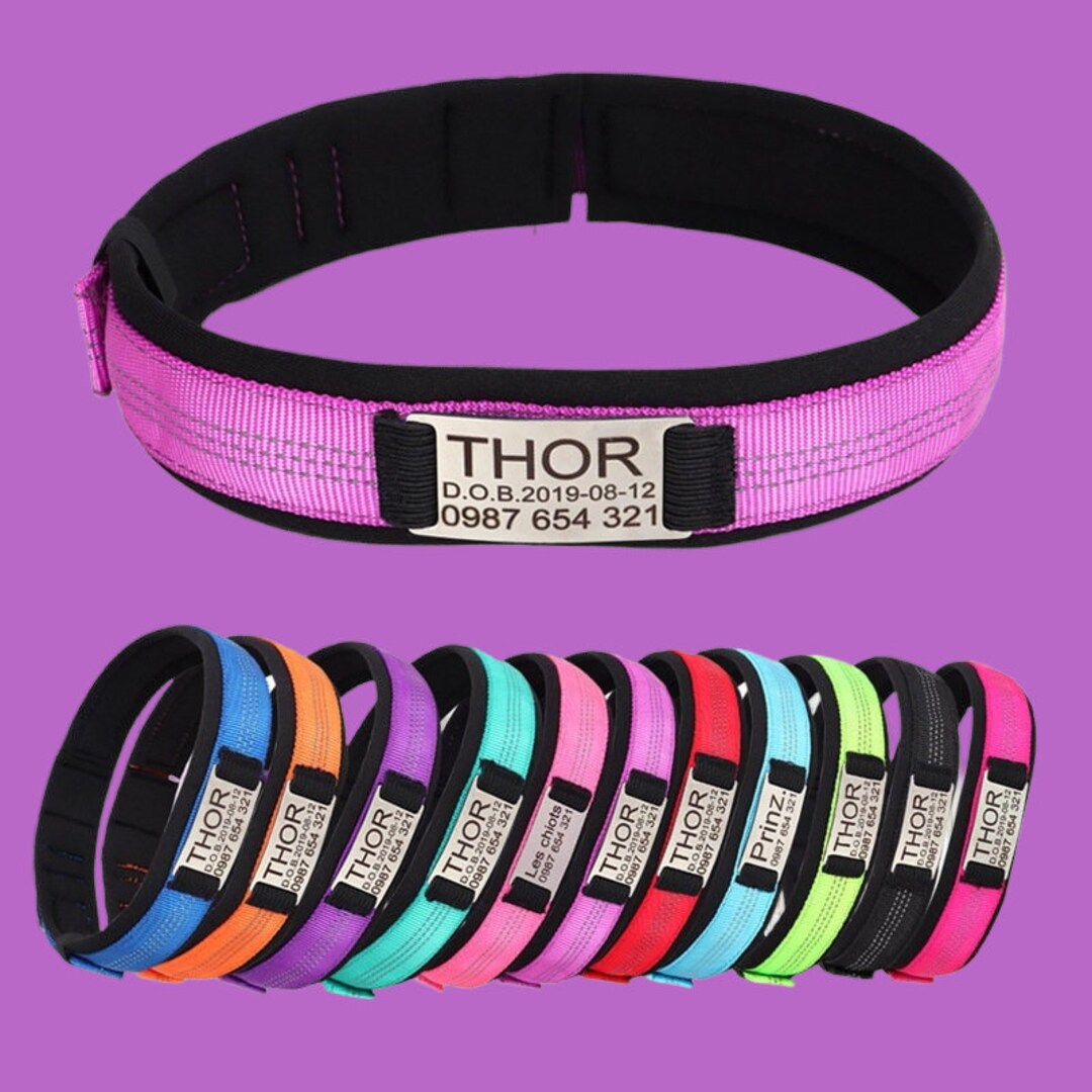 Reflective Nylon Dog Collar: Personalized Engraved Slide-on ID Tag - Etsy
