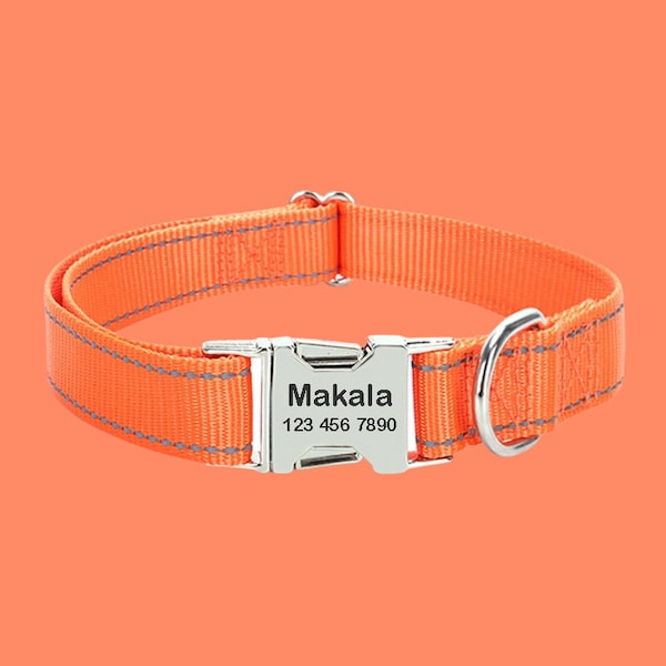 Orange Dog Collar - Etsy