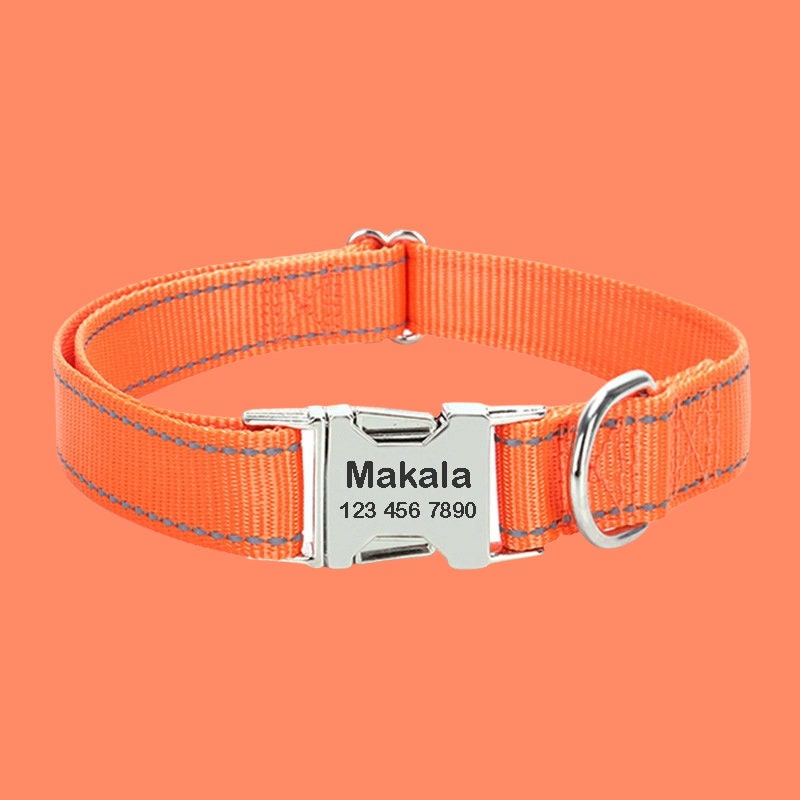 Orange Dog Collar - Etsy
