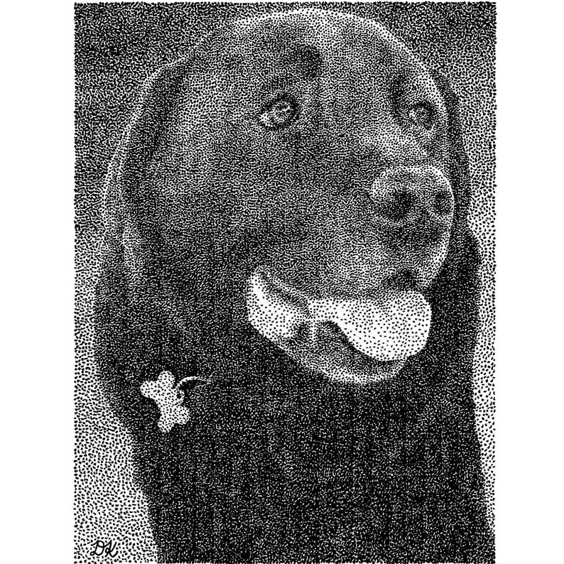 Custom Pet Portrait, Original Pen Drawing, Unique Personalized Gift ...