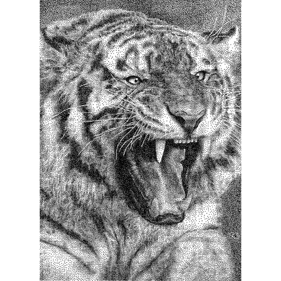 Tiger Roar Stipple Art, Realistic Abstract Tiger, Original Ink Drawing ...