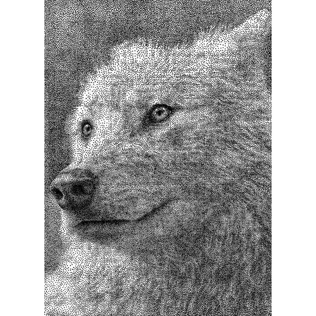 Custom Pet Portrait, Original Pen Drawing, Unique Personalized Gift ...