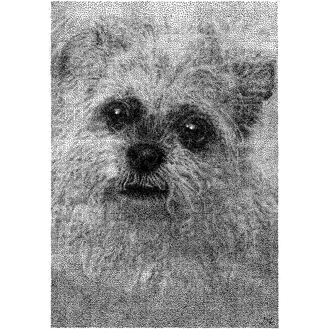 Custom Pet Portrait, Original Pen Drawing, Unique Personalized Gift ...
