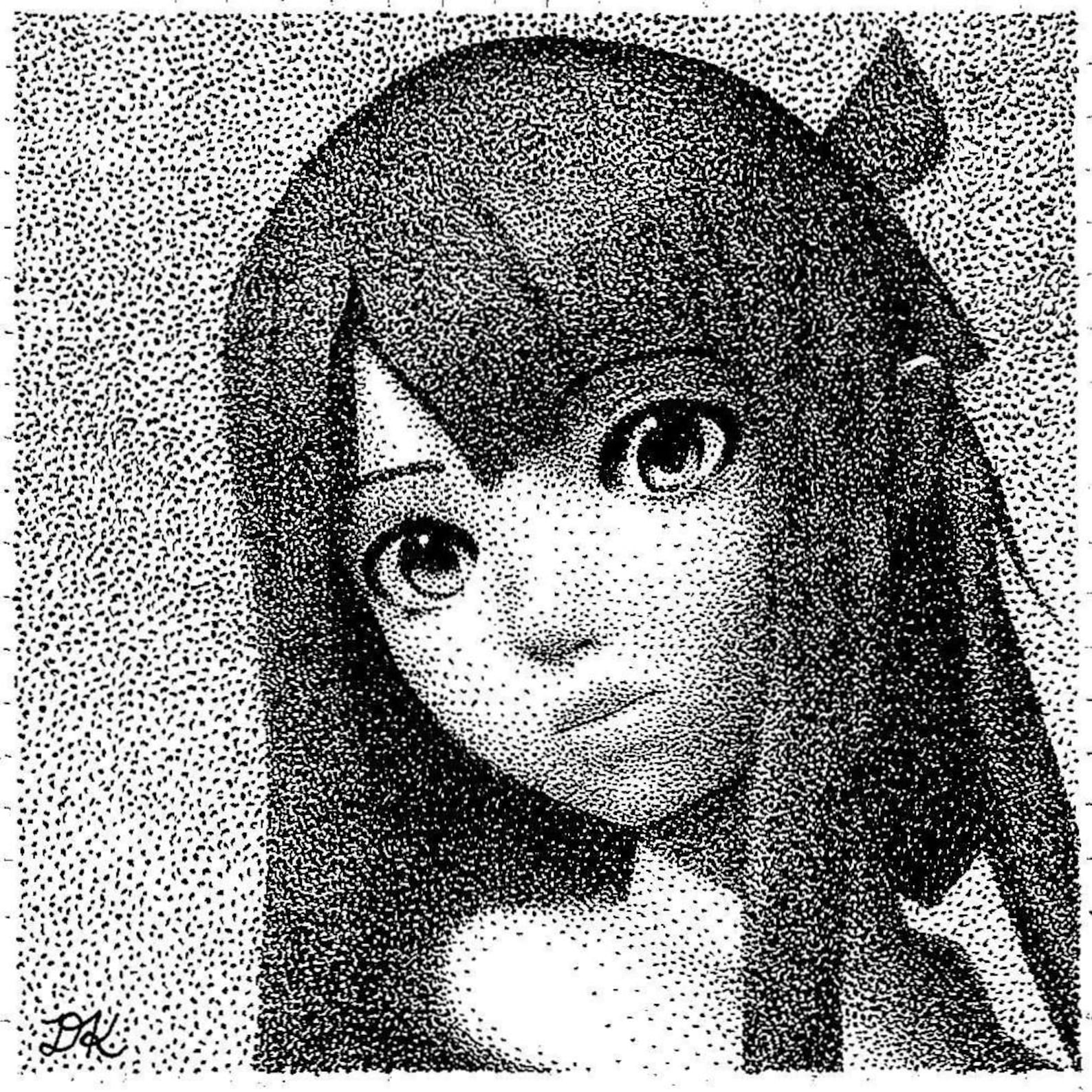 Anime Girl Stipple Art, Abstract Surreal Portrait, Original Ink Drawing ...