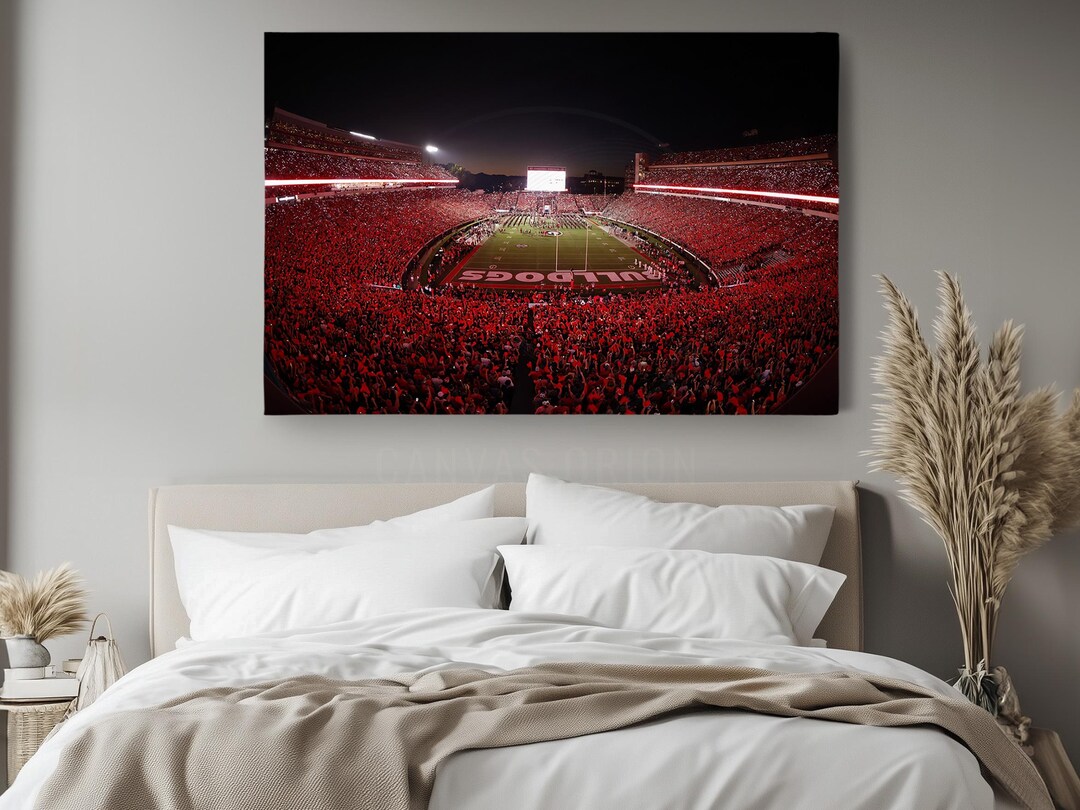 Georgia College Football Stadium Canvas Wall Art, Night Game Crowd ...