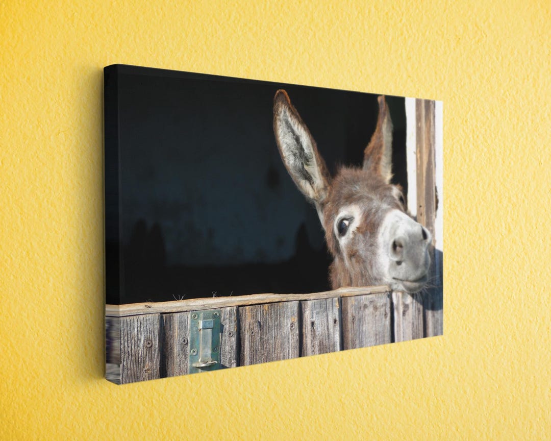 Donkey Canvas Print: Whimsical Farmhouse Animal Art (stretched or ...