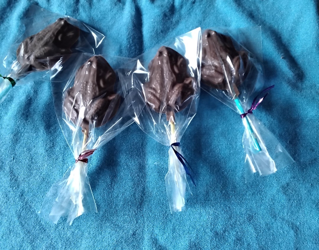 Harry Potter Belgian Chocolate Frog Lollies - Etsy