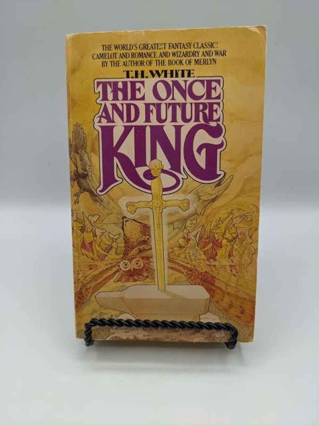 The Once and Future King, T. H. White 1983 Paperback - Etsy Australia