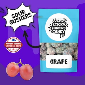 Half Pound Sour Gushers - the Best Tiktok Sour Blue Raspberry Gushers ...