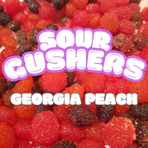 Half Pound Sour Gushers - the Best Tiktok Sour Blue Raspberry Gushers ...