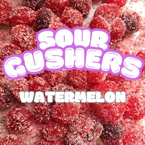 Half Pound Sour Gushers - the Best Tiktok Sour Blue Raspberry Gushers ...