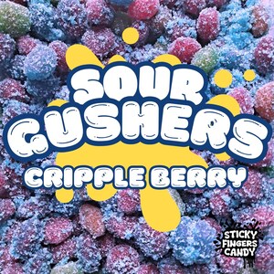 Half Pound Sour Gushers - the Best Tiktok Sour Blue Raspberry Gushers ...