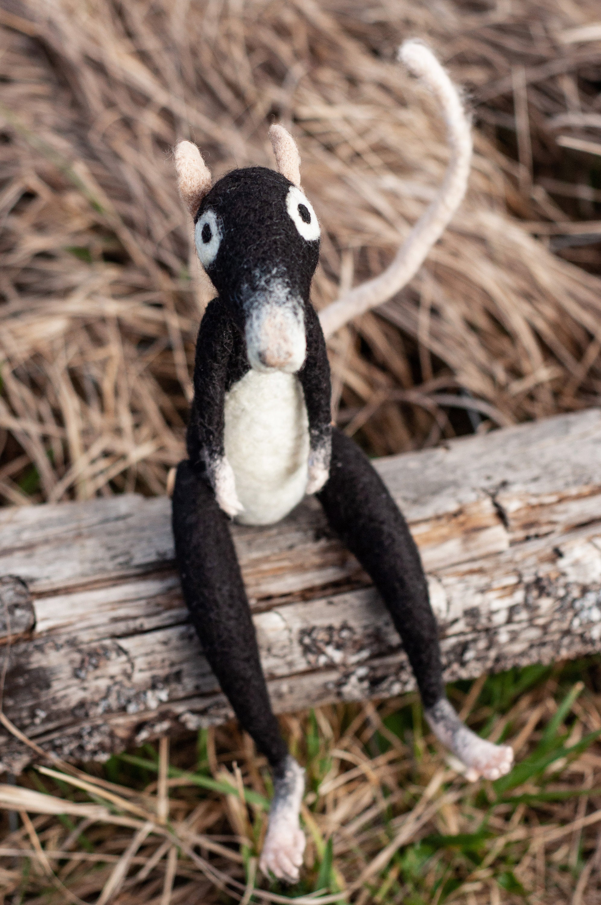 Needlefelted rat art doll vegan friendly - Etsy España