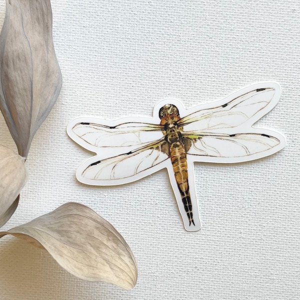 Dragonfly Sticker - Etsy