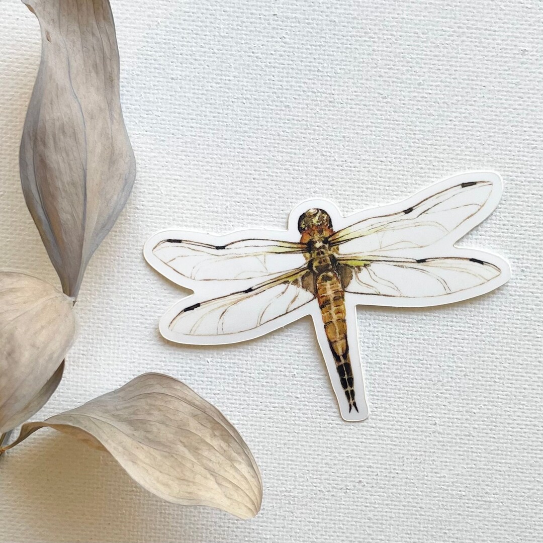 3" Vinyl Dragonfly Sticker, Original Hand Painted Design - Etsy