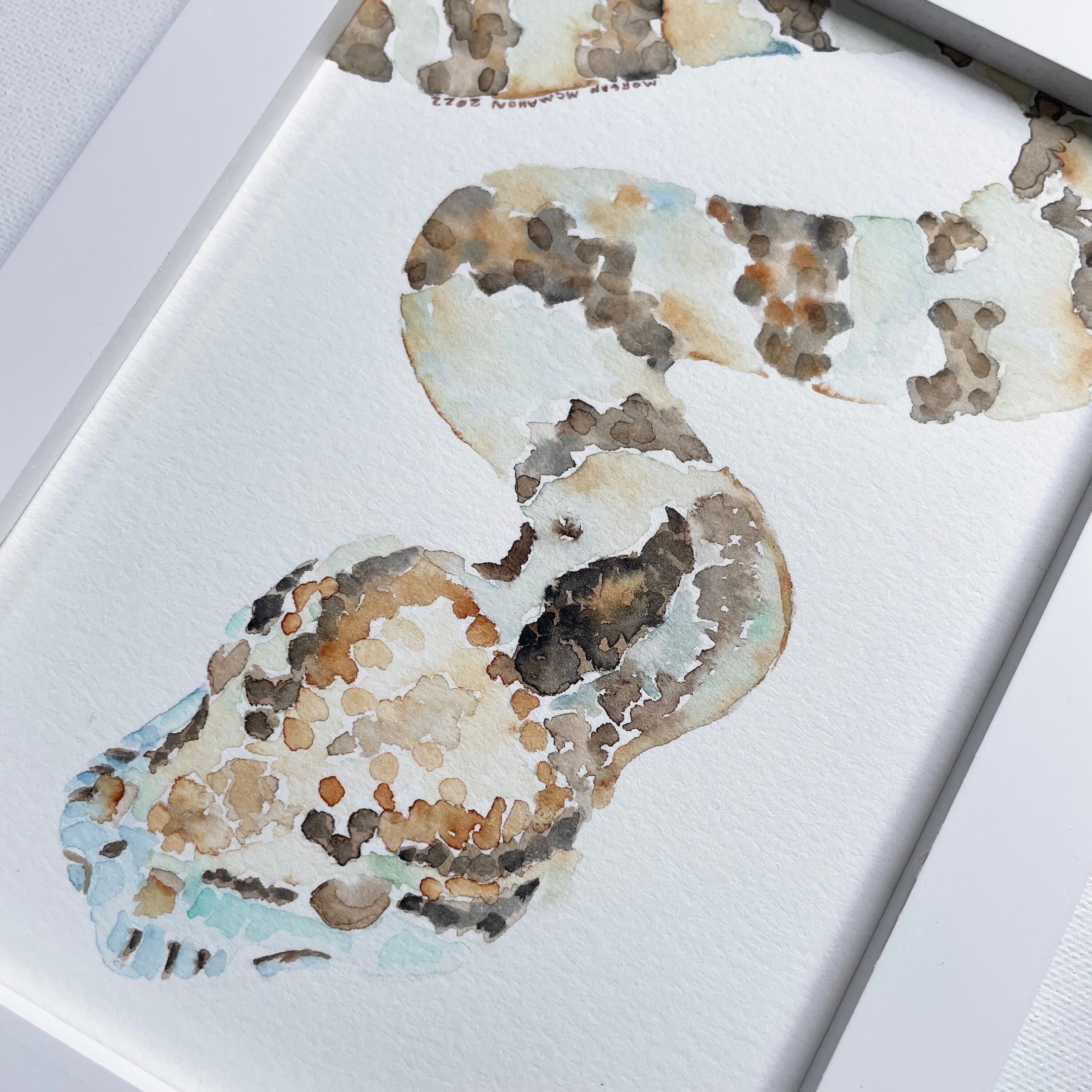 Framed Original 5x7 Watercolor Python Painting - Etsy