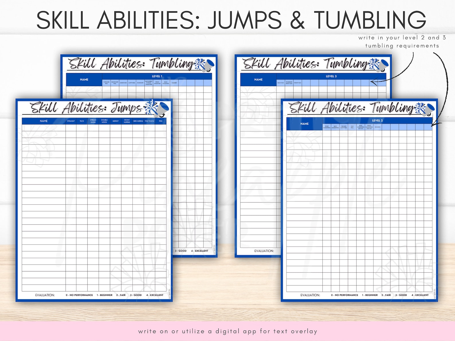 Printable Cheer Progress, Skills, Goals, Tumbling, Evaluation, Jump ...